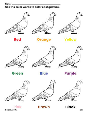 FREE Pigeon Coloring Page and Color Worksheet for Preschoolers to Learn ...