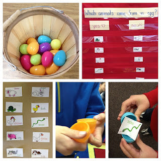 Spring Animal Sorting - with an Easter Twist! – SupplyMe