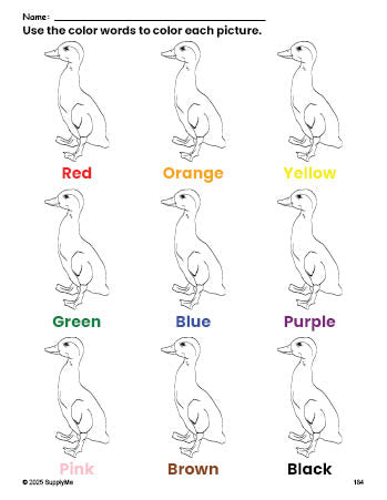 FREE Duck Coloring Page and Color Worksheet for Preschoolers to Learn ...
