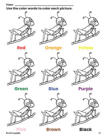 FREE Grasshopper Coloring Page and Color Worksheet for Preschoolers to ...