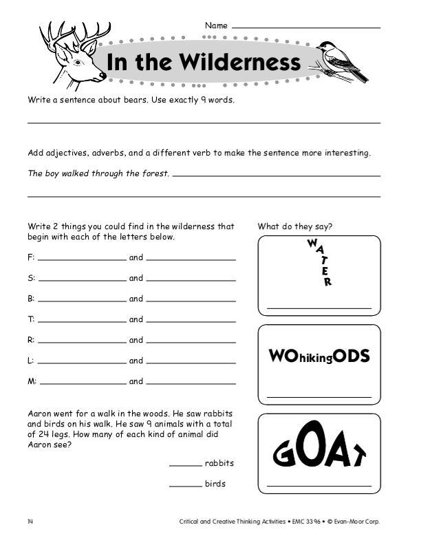 Evan-Moor Critical and Creative Thinking Activities, Grade 6+ | EMC3396 ...