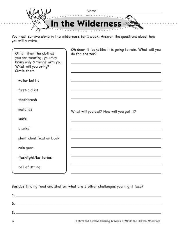 Evan-Moor Critical and Creative Thinking Activities, Grade 6+ | EMC3396 ...