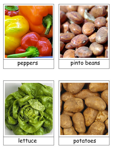 Garden Vegetable Flash Cards - Spring Botany Unit – SupplyMe