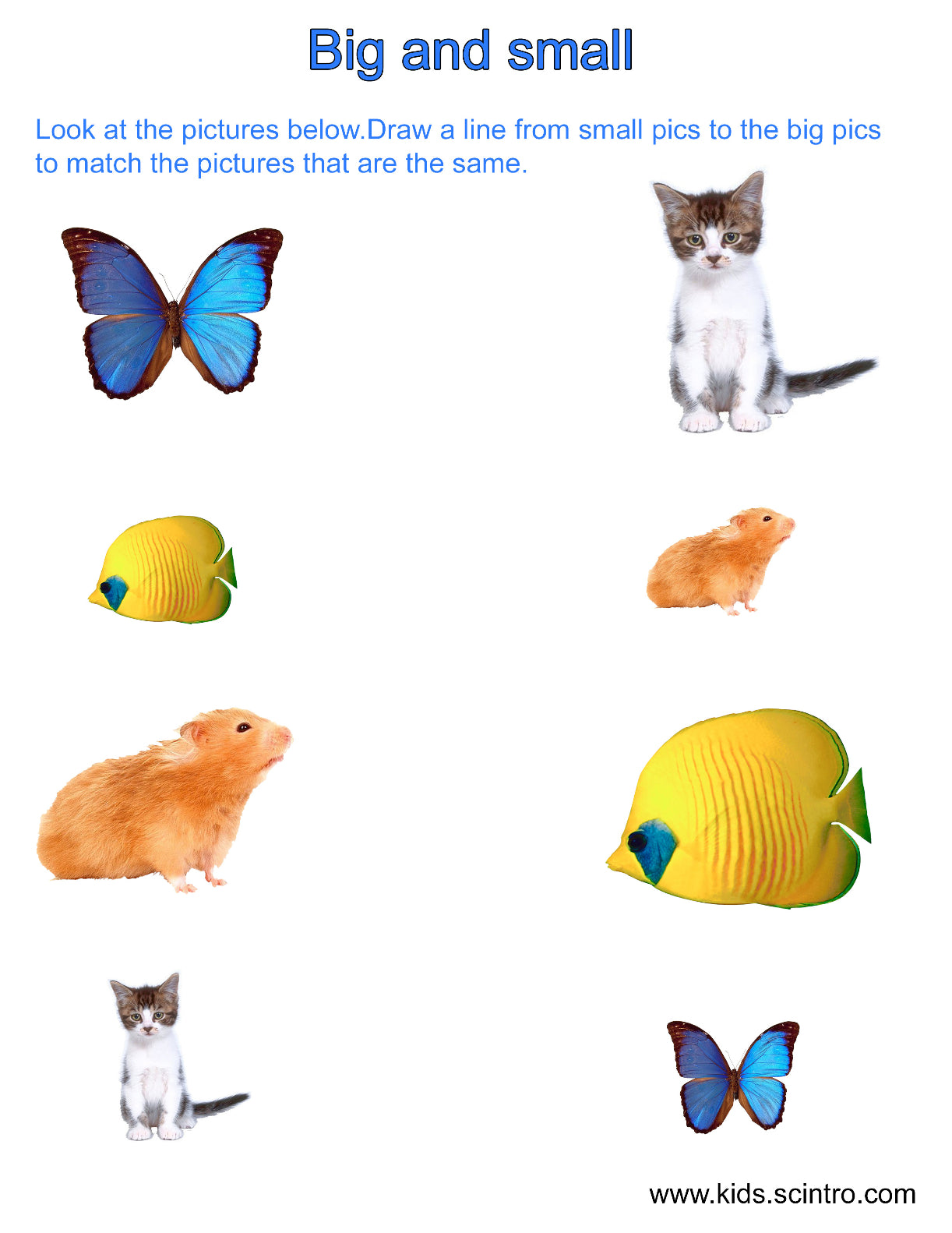 Big And Small Animals