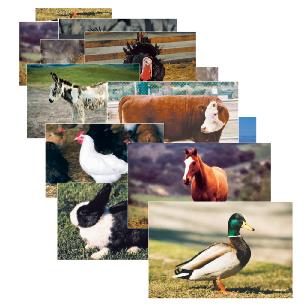 Stages Learning Materials Farm Animal Poster Set Set Of 10 | SLM152 ...