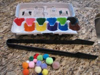 Egg Carton Color Matching – SupplyMe
